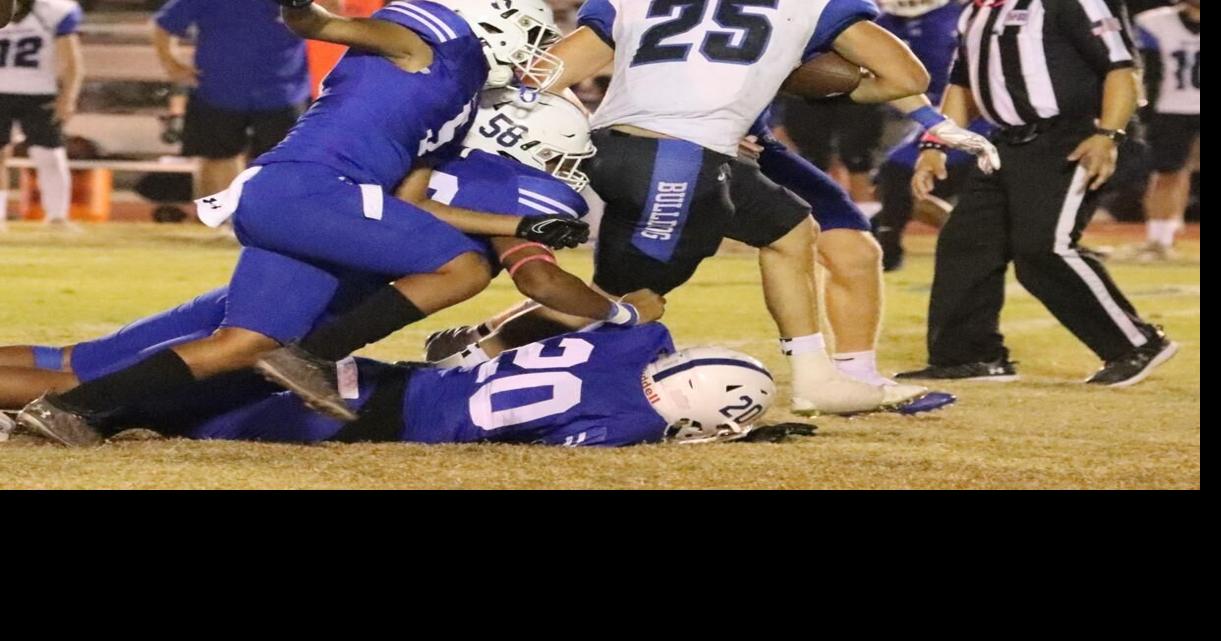 GC Football Previews: Rice faces Palmer's powerhouse Bulldogs | Sports ...