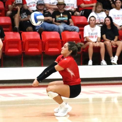 Navarro Volleyball: Bulldogs stretch amazing streak to 13-0 with sweep ...