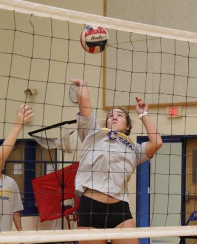 GC Volleyball: New Lady Tigers coach makes big strides | Sports ...