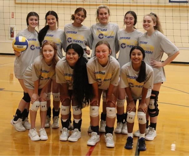 GC Volleyball: New Lady Tigers coach makes big strides | Sports ...