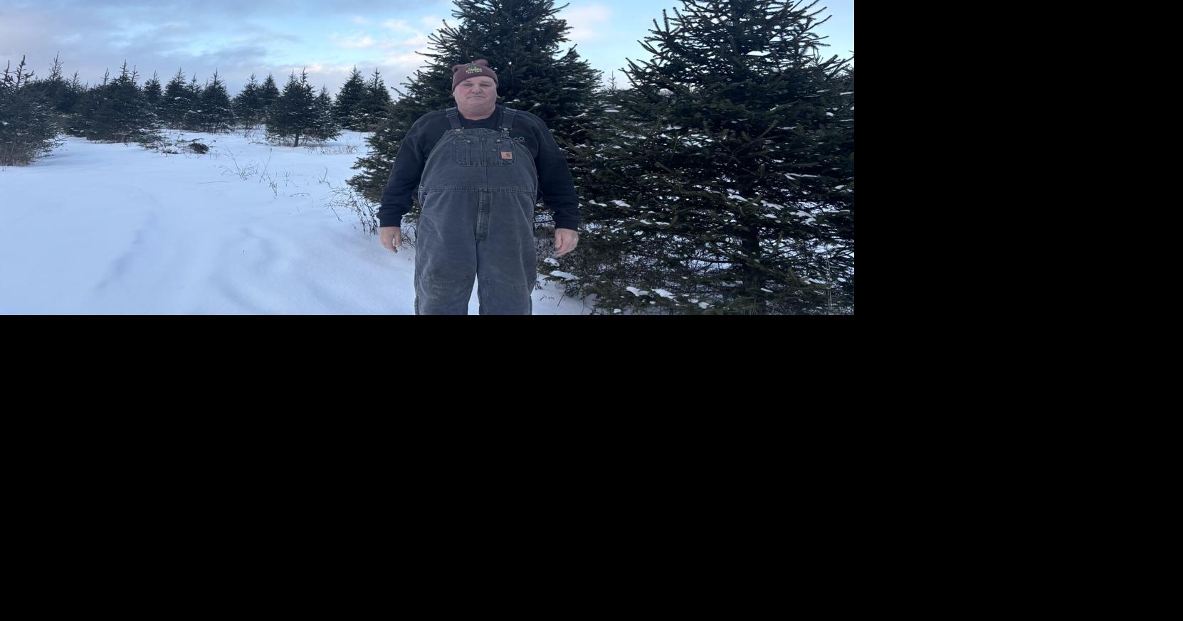 Pitman Tree Farm provides generations of Christmas memories | News ...