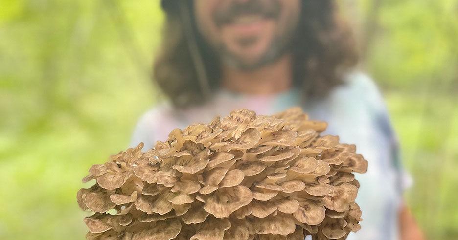 Gross will host a class about the magical world of mushrooms | News ...