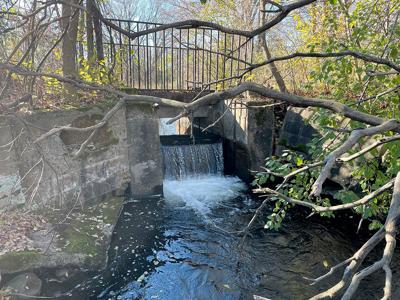 A new future for an old stream? | News | countrymessenger.com