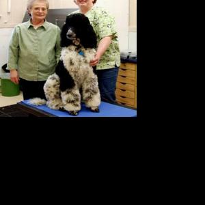 New business caters to dog owners | | countrymessenger.com