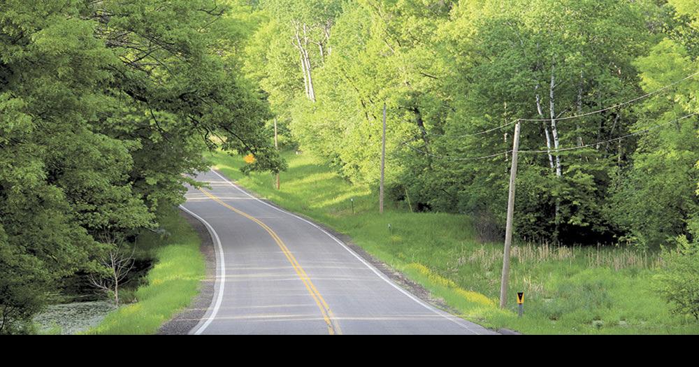 Residents hope to designate part of Norell Ave. N as natural ...