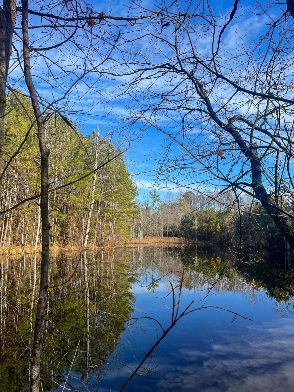 Family protects Drowning Creek land from development | Local News ...