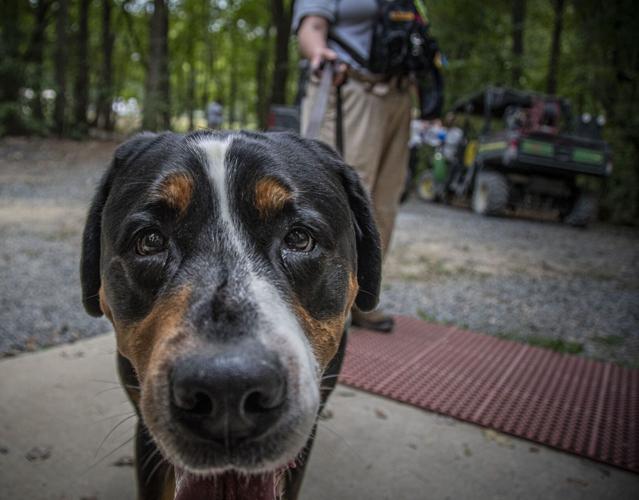 Randolph County hosts annual search and rescue exercise | News ...