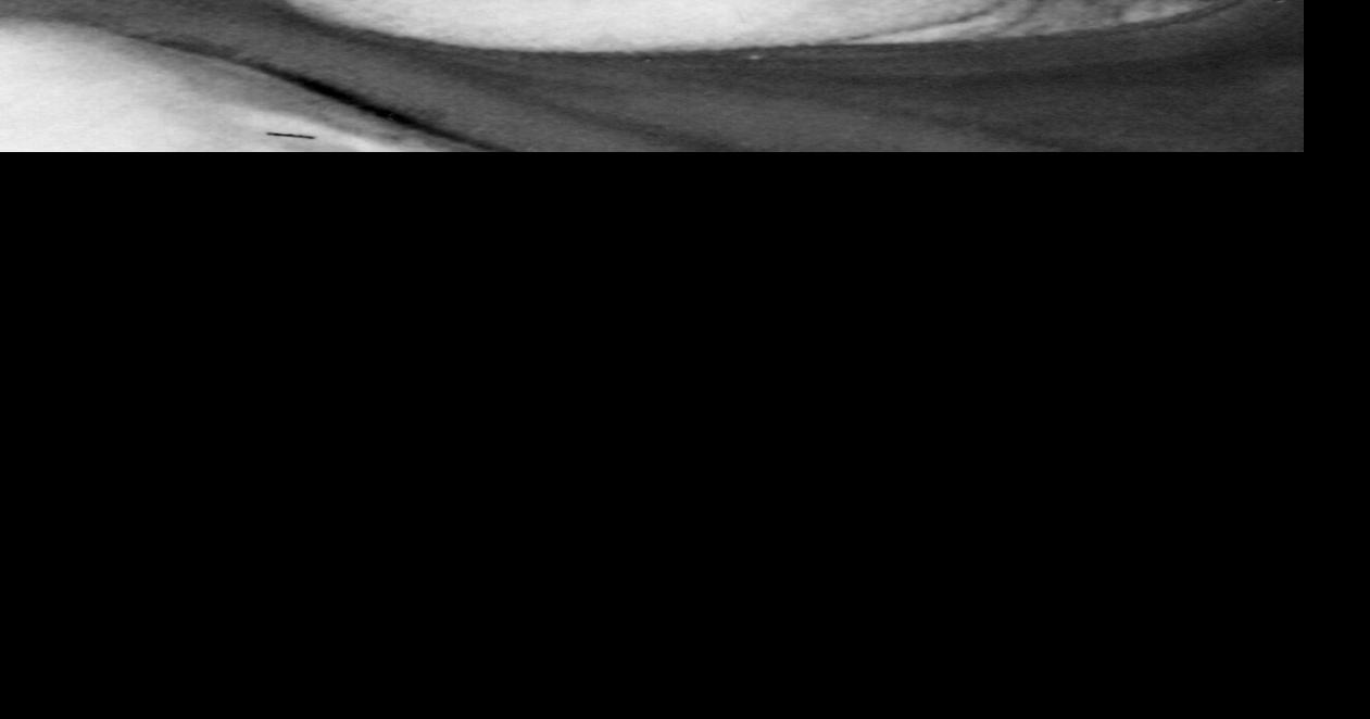 Bobby Gene Phelps Jr. | Obituaries | courier-tribune.com