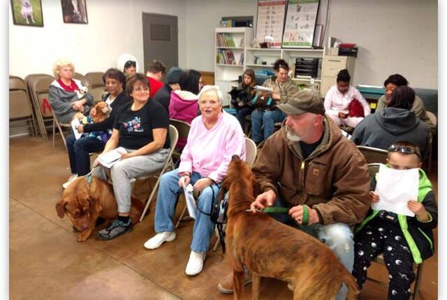 RCSPCA vaccinates 180 animals during free rabies clinic | Features ...