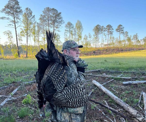 Field Turkeys Require Special Tactics, Patience | Online Only ...