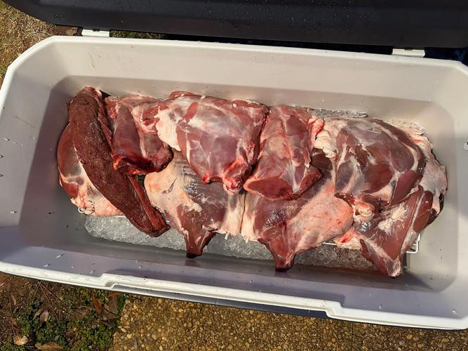 Proper Care from Field to Table Ensures Delicious Wild Game | Online ...