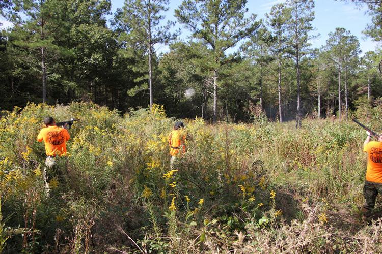 Warriors Enjoy Mountaintop Quail Hunt | Online Only | courierjournal.net
