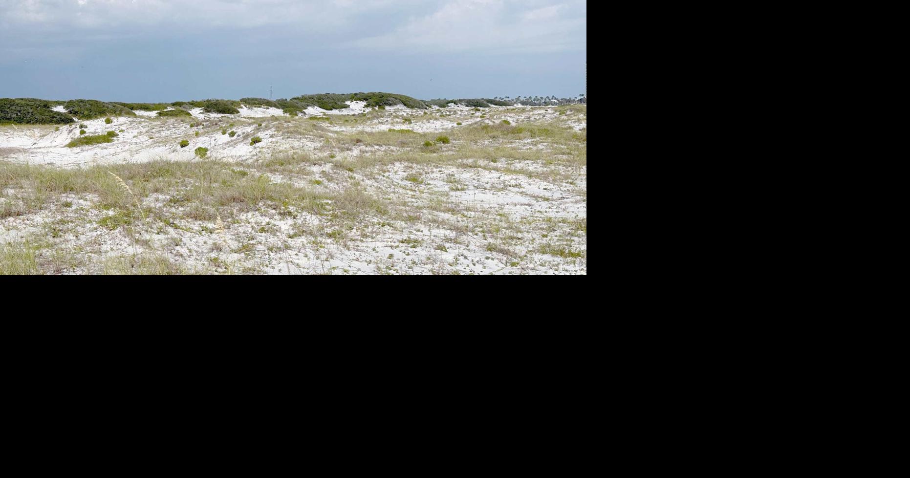ADCNR Acquires Beachfront Property on Fort Morgan Peninsula | Online ...