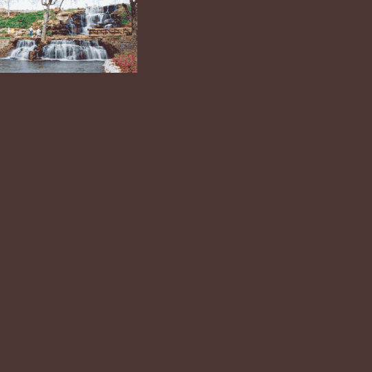 Fun Day 6/22 | This Week | courierjournal.net