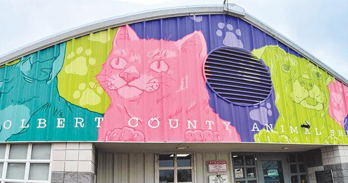 Mural Brings Color to the Colbert Animal Services Shelter | News ...