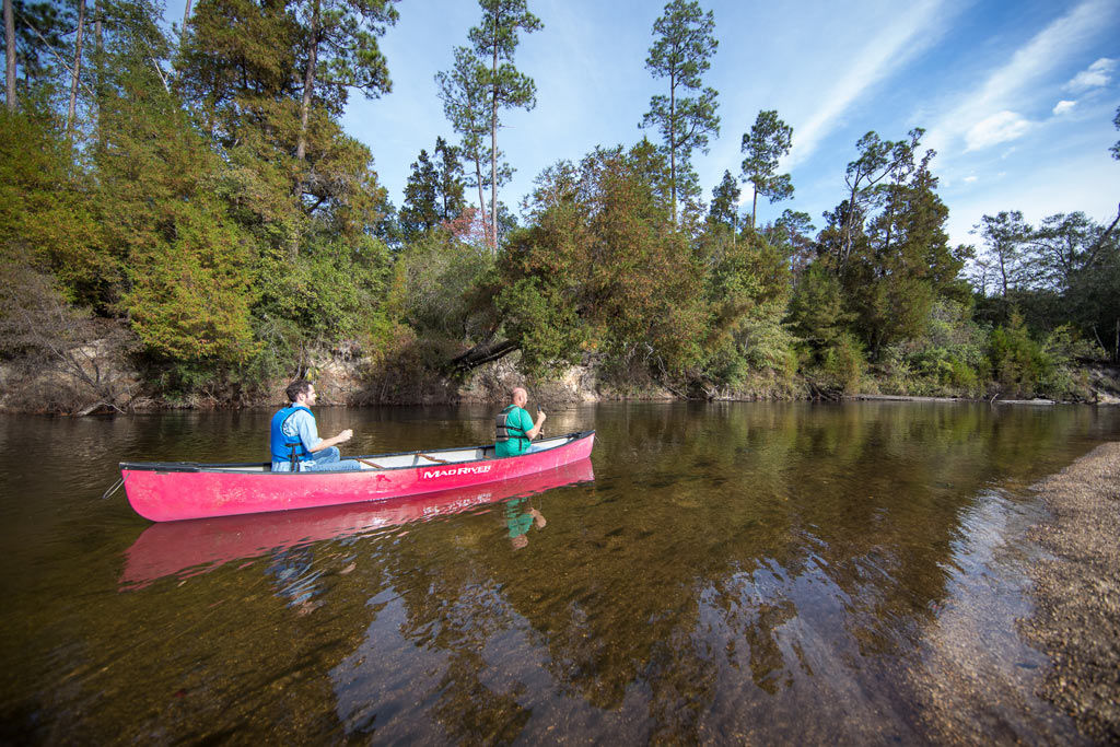 Perdido River Canoe Trail Offers Scenic Vistas | Online Only ...