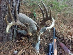 Deer Rutting Activity Runs Gamut in Alabama - Courier Journal: Online Only