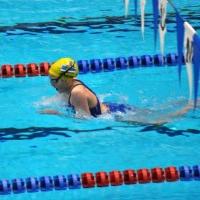 Jenkins to compete in Speedo Illinois Swimming Short Course Age Group ...