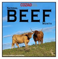 e-Edition | cozadlocal.com