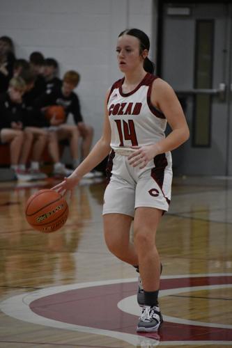 Lady Haymakers Put Up a Spirited Fight Against Wildcats | Sports ...