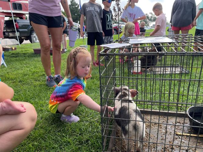 Mini Barnyard Friends Petting Zoo at Muny Park | News | cozadlocal.com