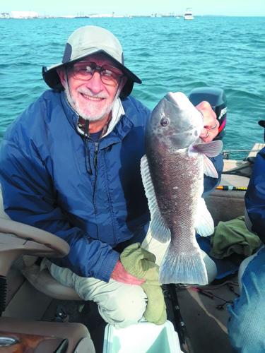 Tautog slow growers, consider releasing big females | Sports Columns ...