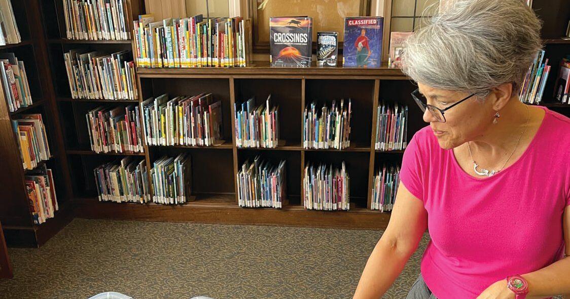 Preserving a treasure: Improvements at William Hall Library honor past ...