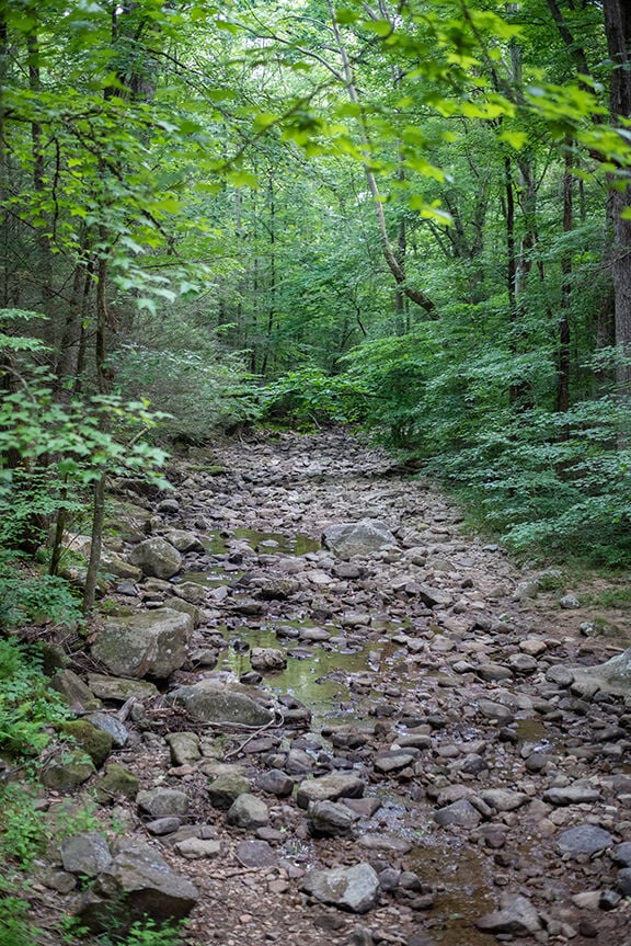 Frozen Head: 2020 State Park of the Year | Lifestyles | crossville ...