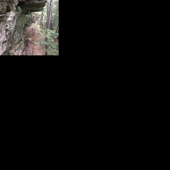 Hike on the Wild and Scenic Obed River trails | Glade Sun | crossville ...