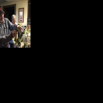 Model Railroad Club celebrates National Model Railroad Month ...