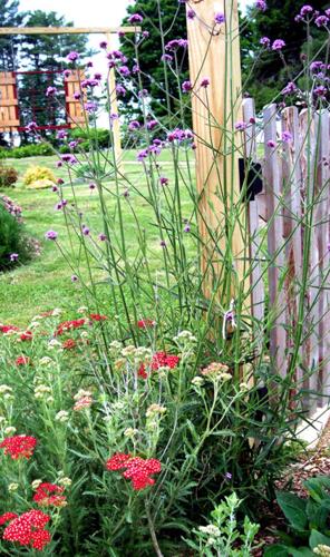 Plateau Gardening: Visit Plateau Discovery Gardens | Lifestyles ...