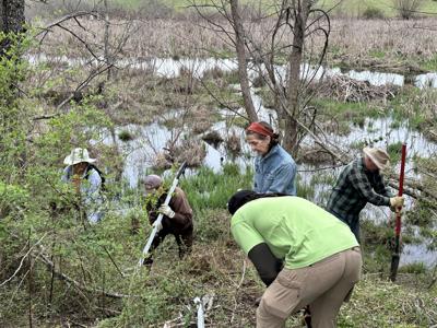 Watershed group works to keep things flowing on the Little Obed ...