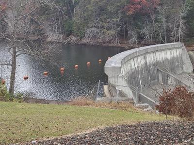 TWRA seeks anglers' interest in walleye stocking | Local Sports ...