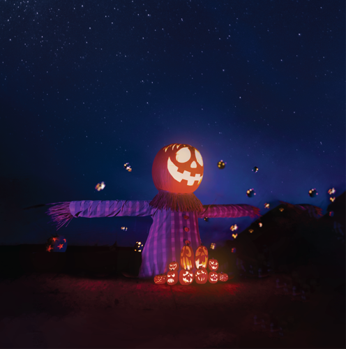 night pumpkin picking