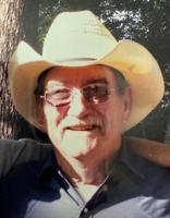 PET OF THE WEEK: Julie | Lifestyles | crossville-chronicle.com