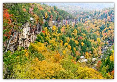 Fall's splendor in Tennessee | | crossville-chronicle.com