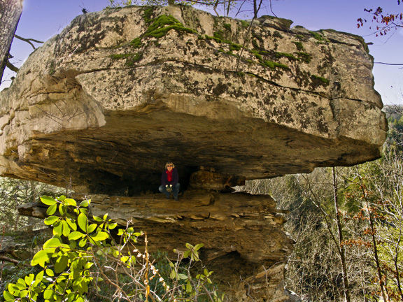 Plateau chapter ready for new year of hiking | Lifestyles | crossville ...