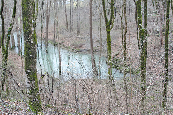 TENNESSEE ADVENTURES: Head of the Sequatchie preserves history, ecology ...