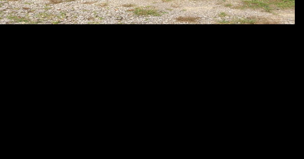 Return of the British Car Show coming to Rugby | Lifestyles ...