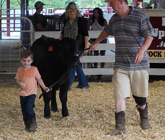 News | crossville-chronicle.com