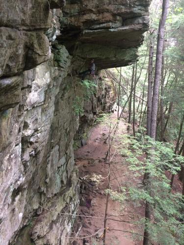 Hikers off to explore Lilly Bluff Trails | Glade Sun | crossville ...