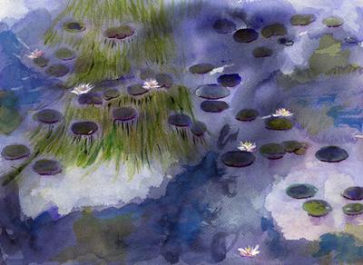 Soblo’s waterlilies featured at PCAC | Lifestyles | crossville ...