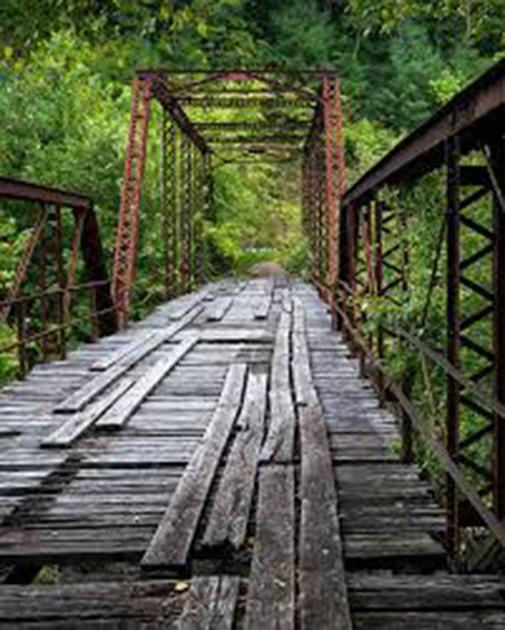 Take a healthy hike on Burnt Mill Loop | Lifestyles | crossville ...
