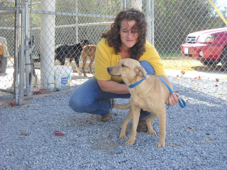 County shelter pets looking for families | Local News | crossville ...
