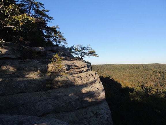 Monterey’s Bee Rock is dedicated | Local News | crossville-chronicle.com