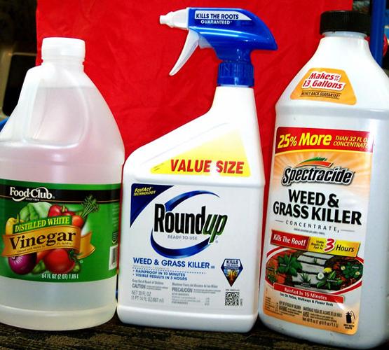 PLATEAU GARDENING: Herbicide, weed killer basics | Lifestyles ...