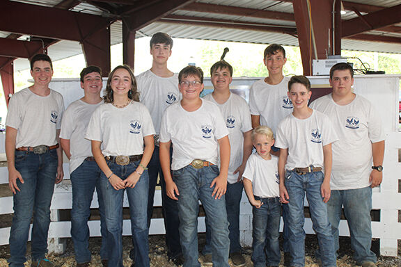 Livestock Show and Sale returns to the county fair | Lifestyles ...