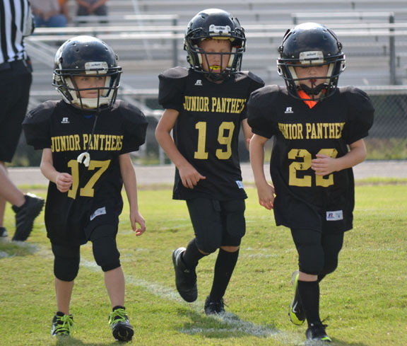 Junior Panthers play host to Monterey Wildcats | Local Sports ...