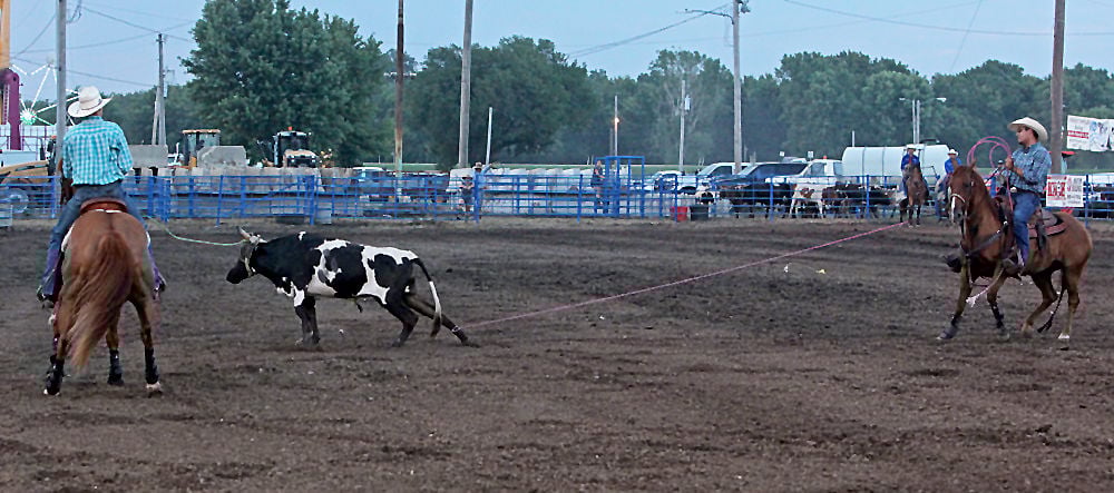 Cowley County Fair - Freestyle Bullfighting, Wild Cow Milking and Rodeo ...