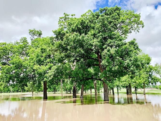 Walnut River soars | News | ctnewsonline.com